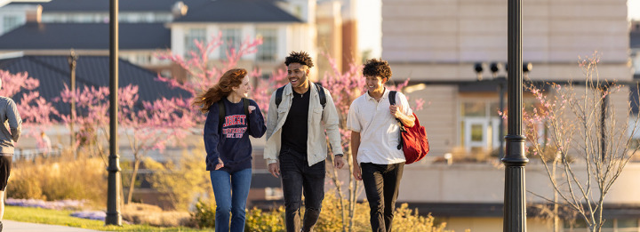 Interdisciplinary Studies | Liberty University