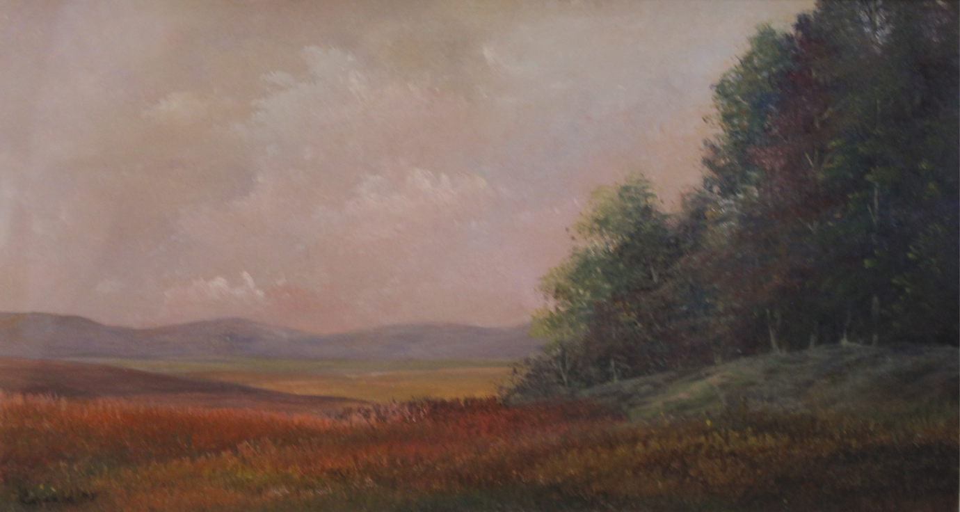 Jo Ann Cannon-Mountain Vista | Studio & Digital Arts | Liberty University