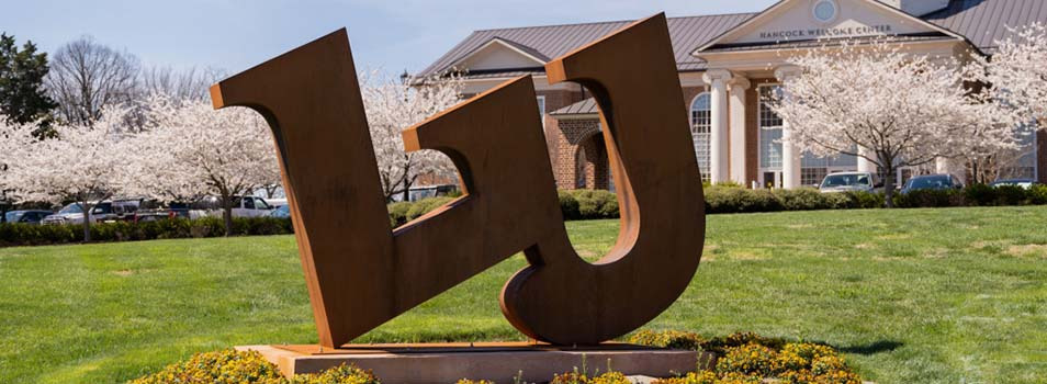 Mental Health Summit – 2025 | School of Behavioral Sciences | Liberty ...