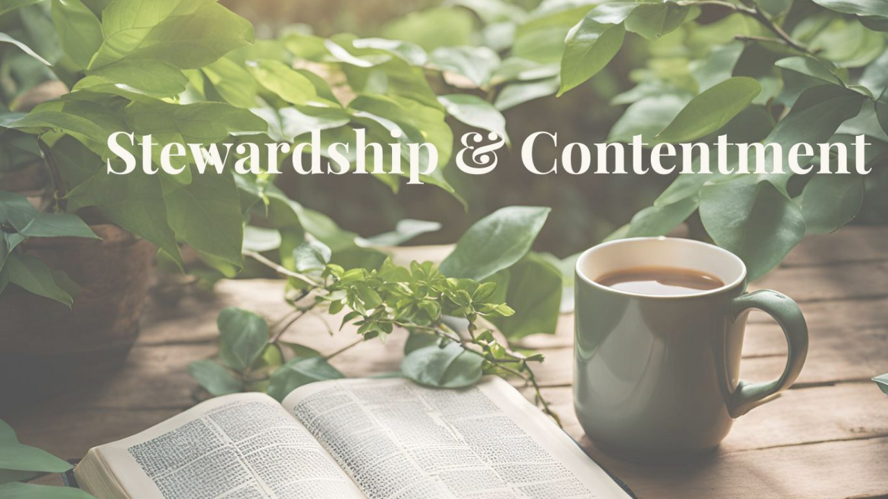 4 Principles of Stewardship | School of Business | Liberty University