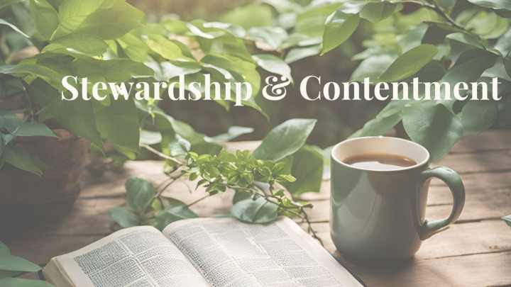 4 Principles of Stewardship | School of Business | Liberty University