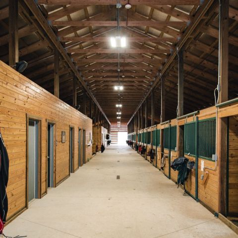 Equestrian Center | Campus Recreation | Liberty University