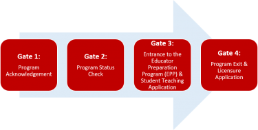 Undergraduate Gate Process for Educator Preparation Program (EPP ...