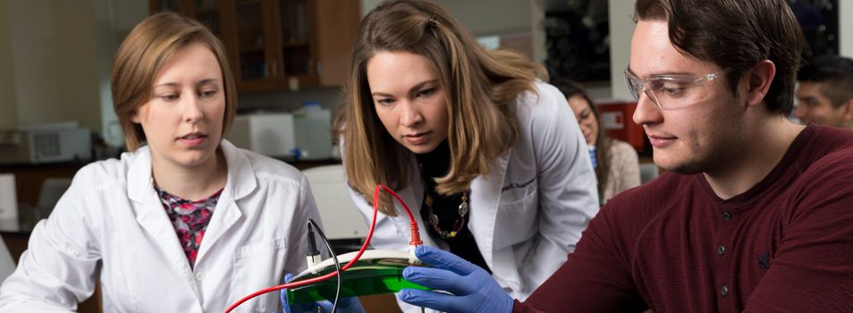 BS in Biotechnology | School of Health Sciences | Liberty University