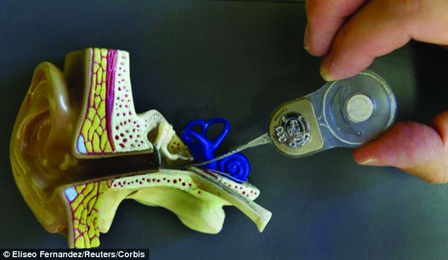 A Sweet, Sweet Sound | Liberty Journal