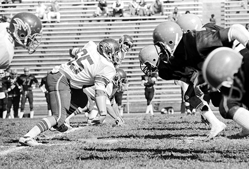 Williams Stadium: Flames Nation sees game day experience rise, too ...
