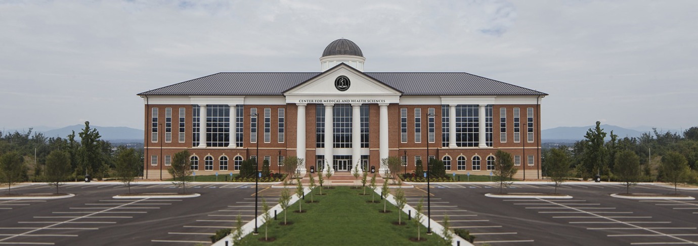 Internal Academic Documents & Forms | Liberty University College of ...