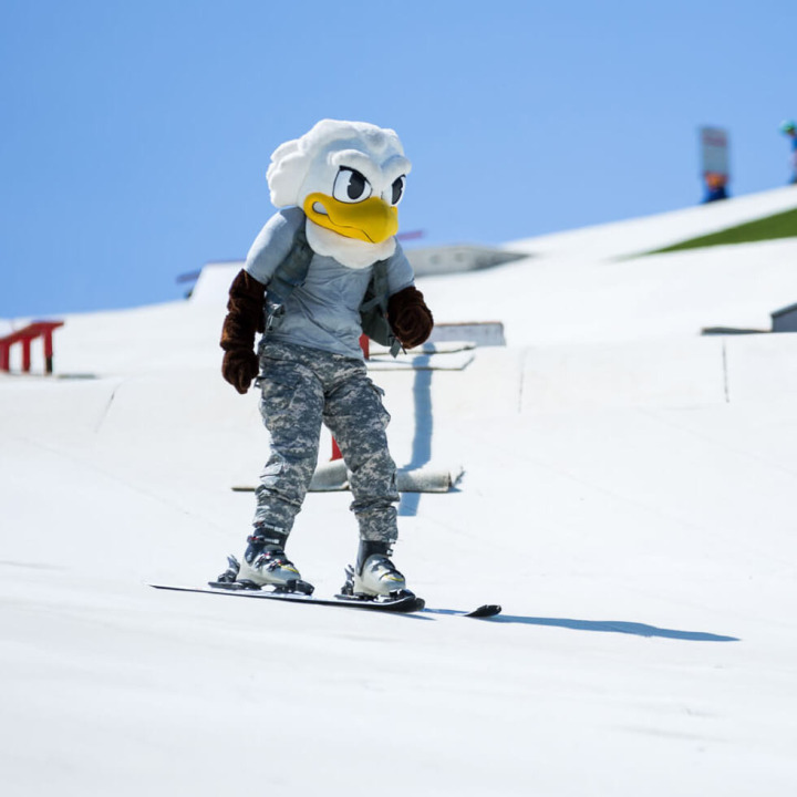 Military Affairs | Liberty University