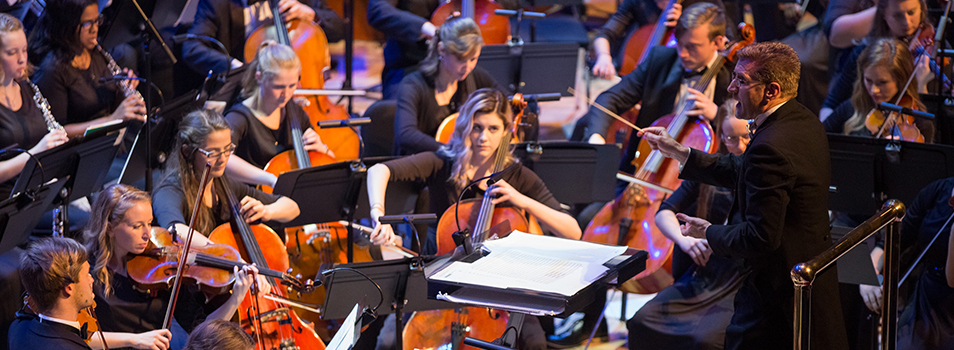 Bm In String Performance School Of Music Liberty University 