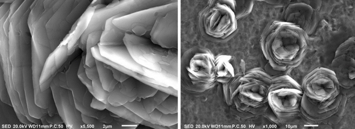 Liberty University researchers discover microscopic, rose-like crystals ...