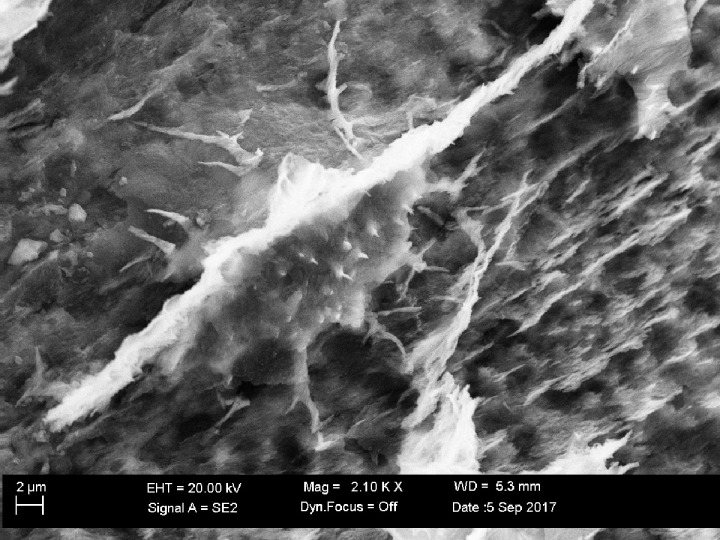 New high-tech microscope gives School of Engineering, LUCOM competitive ...