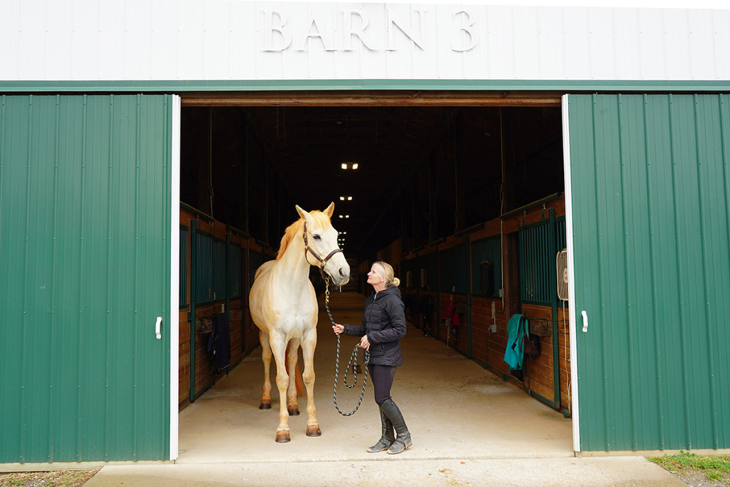 Florida family donates show horse to Liberty University’s equestrian ...