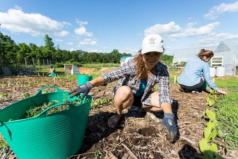 Campus farm doubling pastureland as it plans for future growth ...