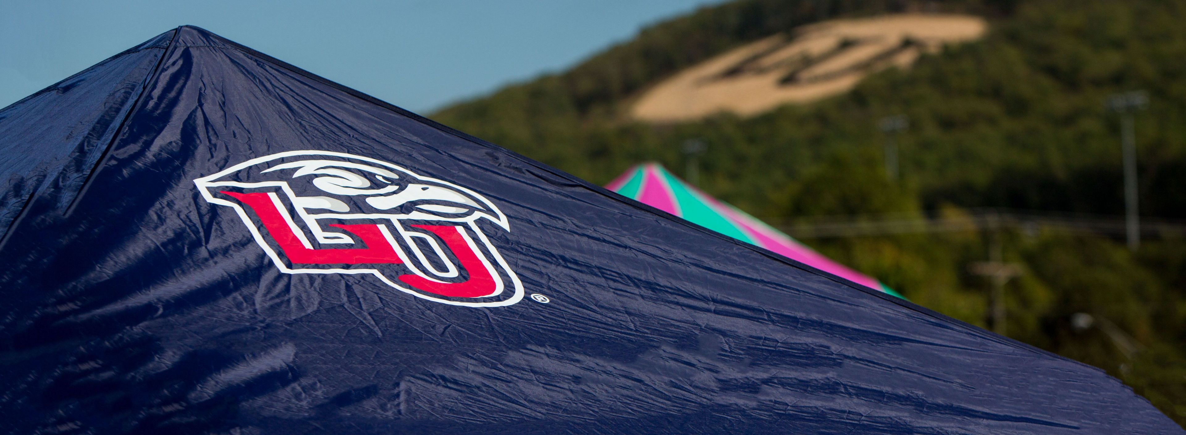 Physical Disability Documentation Requirements | Liberty University Online
